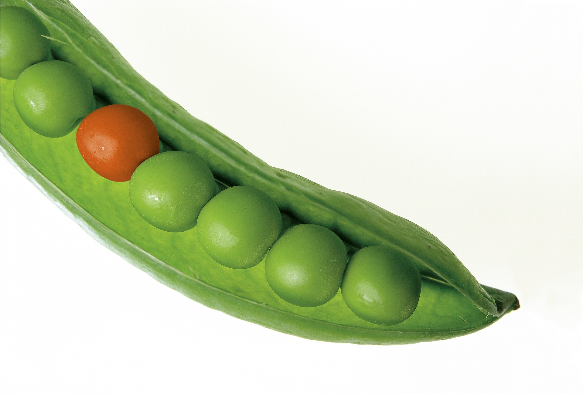 Pros And Cons Of One Page Website